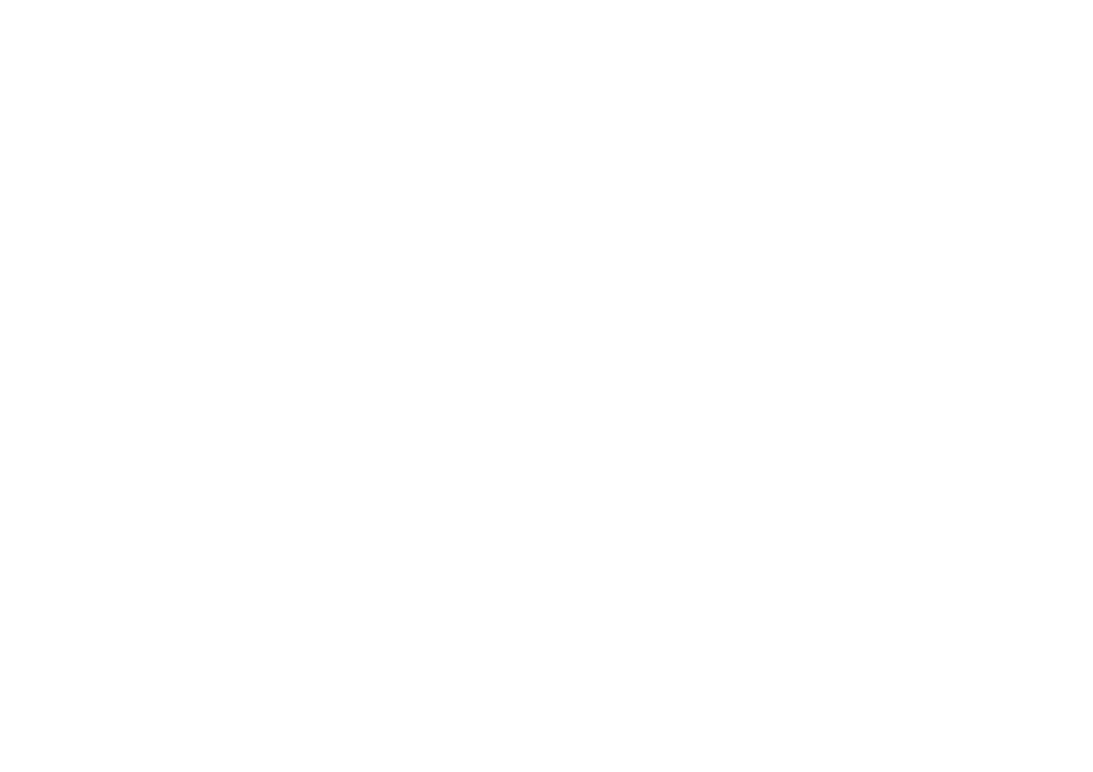 Premium Business Travel - Taking care of the journey