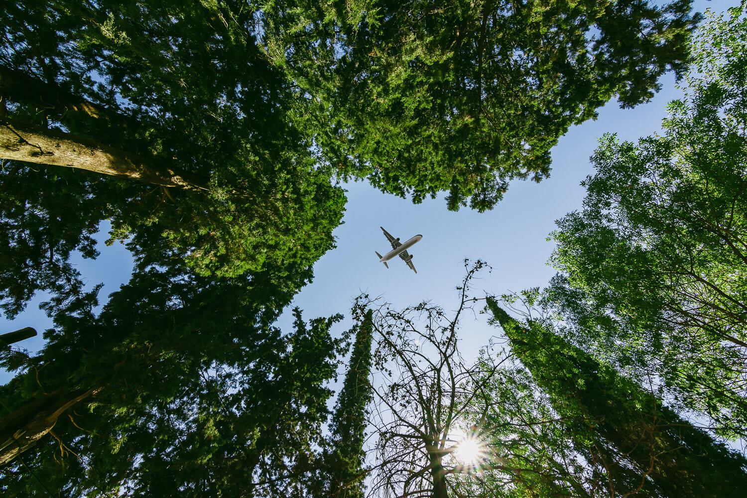 Premium Business Travel - Taking care of the journey